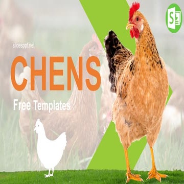 Hen-Template-slidespptmmmm.net_ (1).pptx