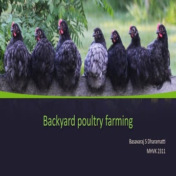 backyard poultry farming in india ..pptx