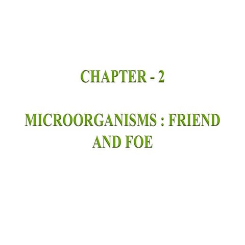 Grade 8: Microorganisms. | PPTX