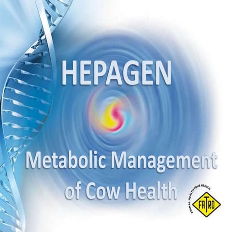 Hepagen - Metabolic Management of Cow Health | PPTX