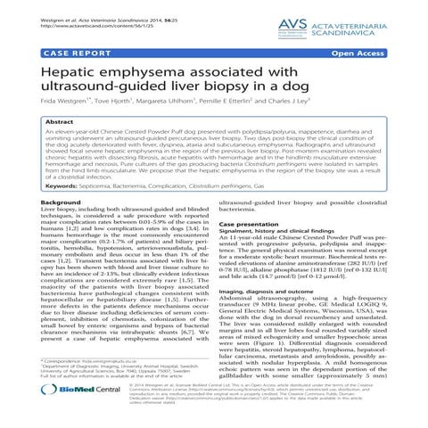 Hepatic emphysema associated with ultrasound-guided liver biopsy in a ...