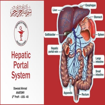 Hepatic Portal System by Dawood Ahmad.pdf