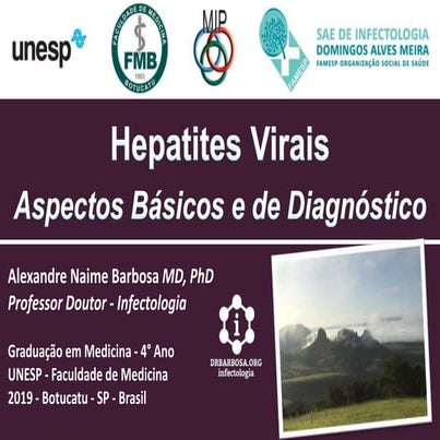 Hepatite B Hepatite C Aspectos Basicos 2019 | PPTX