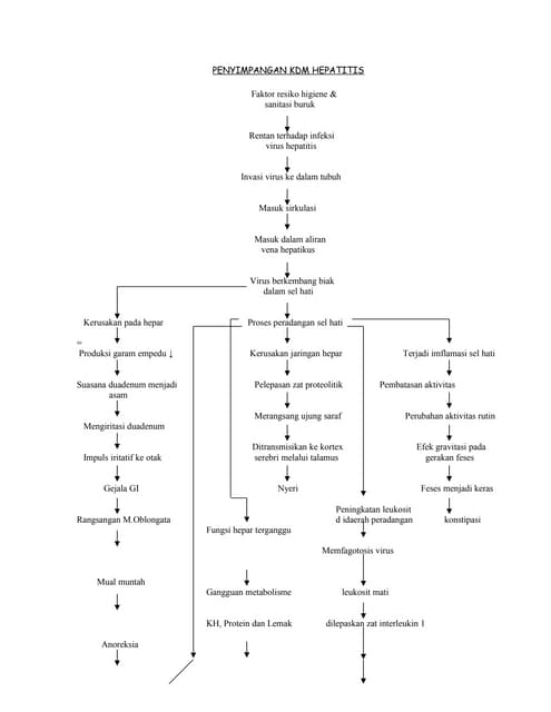 pathway dhfPathway dhf | DOCX