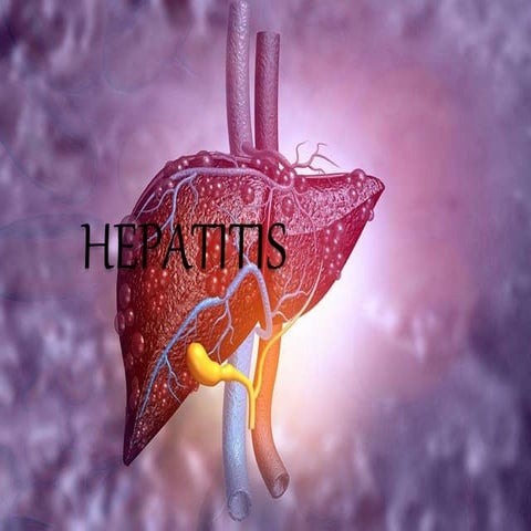 The Liver inflammation (hepatitis).pptx