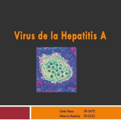 Hepatitis a 'completo' | PPT