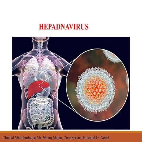 Hepatitis B Virus.ppt Manoj Mahato Micro | PPT