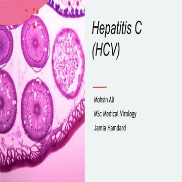 Hepatitis C (HCV).pptx