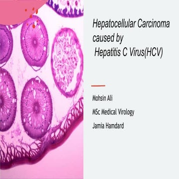 Hepatitis C Virus Microscope