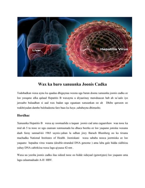 Waa Maxay Jadeecadu ? | PDF