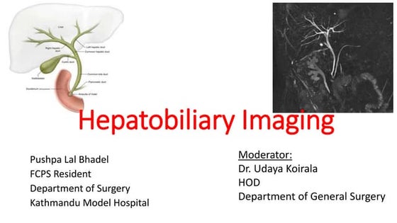 DIFFUSE LIVER DISEASES AND THEIR APPEARANCE IN ULTRASOUND | PPTX