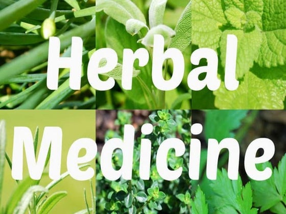 10 herbal medicines approved by the doh | PPT