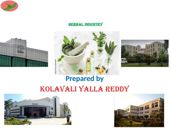 Herbal drug industry (unit 5) | PPTX | Herbs and Supplements ...