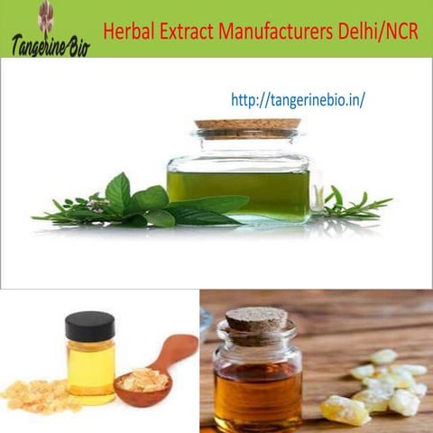 Herbal Extract Manufacturers Delhi/NCR | PPT