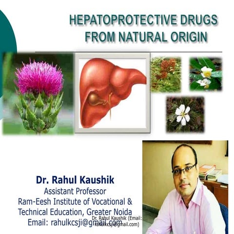 Herbal hepatoprotective drugs | PPTX