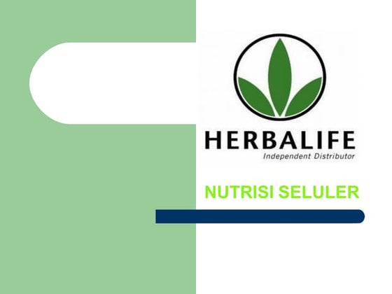 Herbalife | PDF