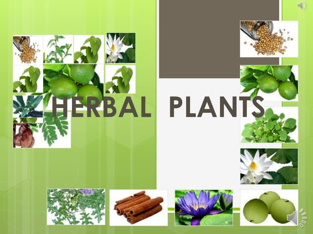 Medicinal plants | PPT