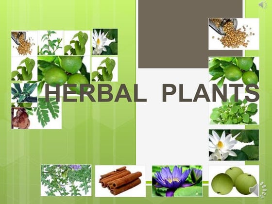 Spices | PPT