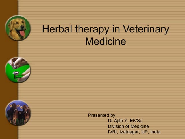 SenseTek Stratos Micra 25 datasheet | PDF