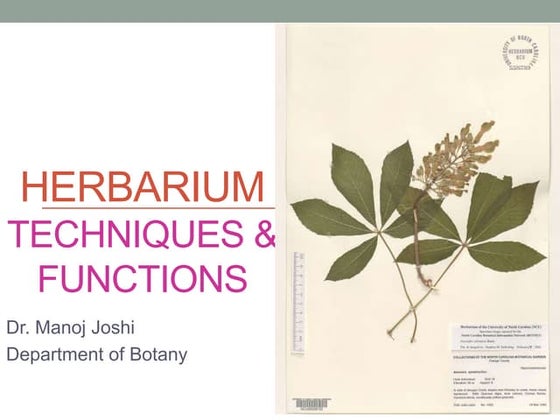 Herbarium Techniques | PPT
