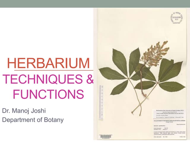 Herbarium Techniques | PPTX