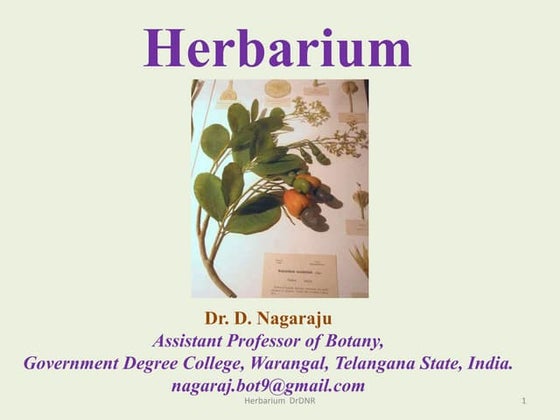 Herbarium Techniques | PPTX