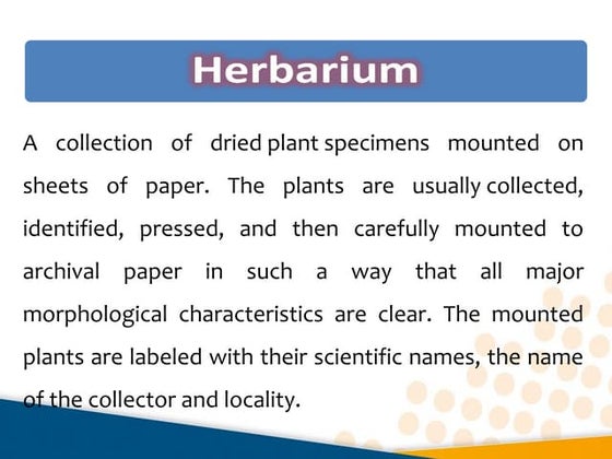 Herbarium and plant collection | PPTX | Gardening | Home & Garden