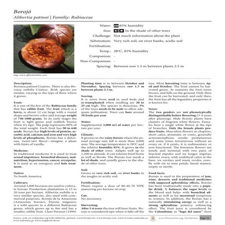 Herbarium: Borojo | PDF