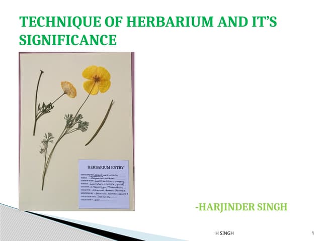 Herbarium Techniques | PPTX