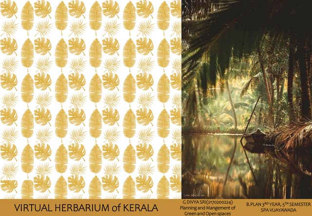 Caesalpinioideae | PPTX | Gardening | Home & Garden