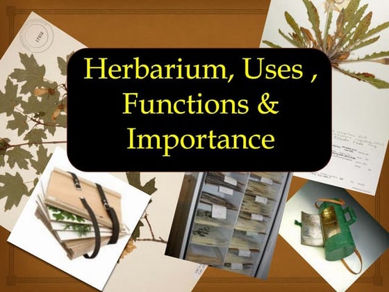 Herbarium and plant collection | PPTX | Gardening | Home & Garden