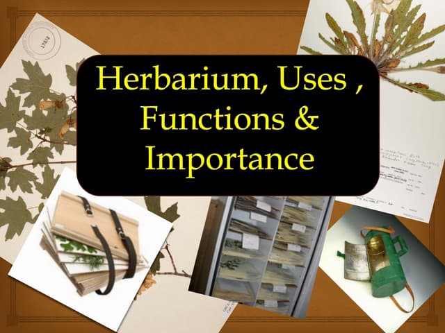 Herbarium, Uses , Functions & Importance.pdf Herbarium, Uses , Functions & Importance.pdf