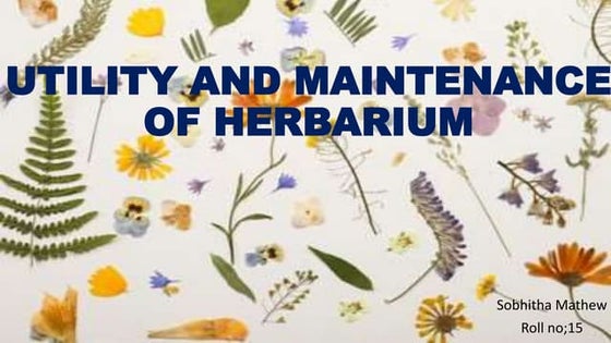 Herbarium Techniques | PPT