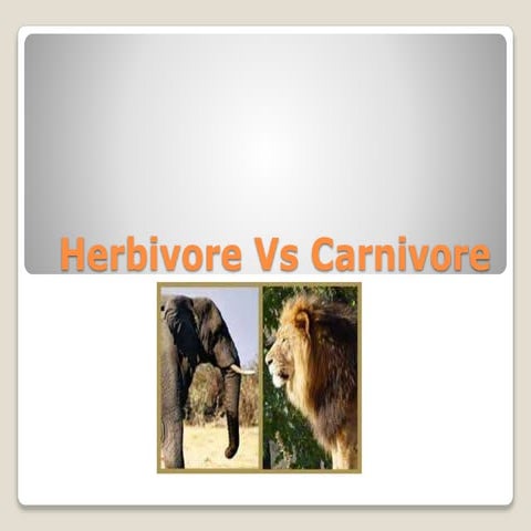Difference between digestive tract of herbovores vs carnivores | PPTX