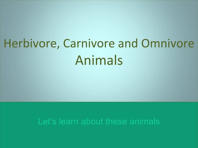 Different types of Animals | PPTX