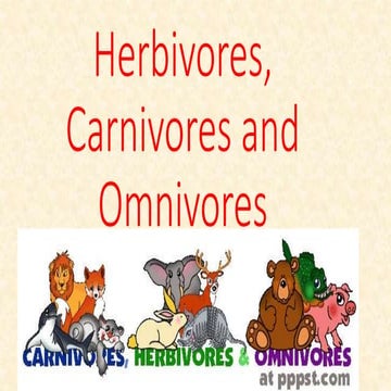 Herbivore, carnivore and omnivore animals