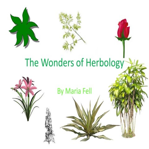 Herbology | PPTX