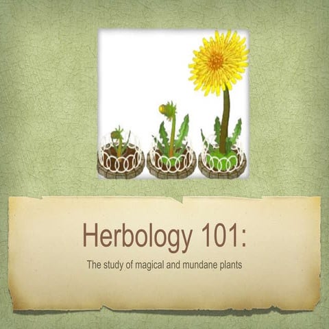 Herbology assignment | PPTX