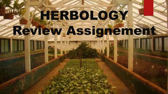 Herbology 101 | PPTX | Herbs and Supplements | Alternative Medicine