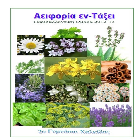 Βότανα και Αρωματικά Φυτά | PDF