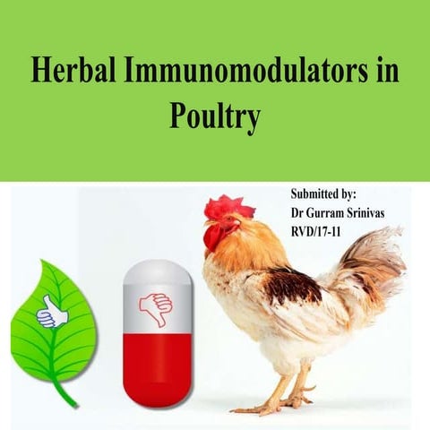 Herbal Immunomodulators in Poultry | PPTX