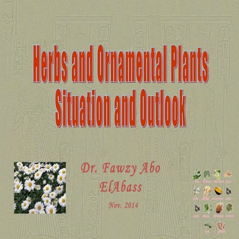 Drag Racing Tips for Beginners | PPTX