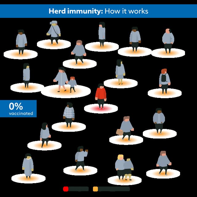 Herd immunity | PDF | Vaccines | Medical Health