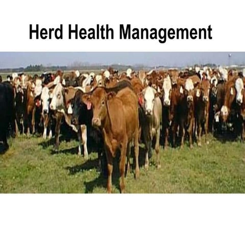 HERD HEALTH MANAGEMENT.ppt