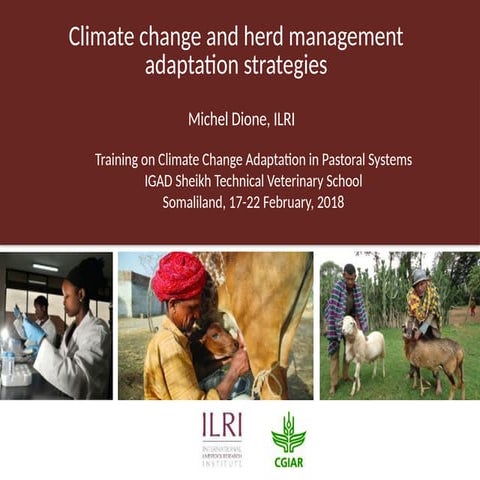 Poultry production powerpoint for training | PPTX