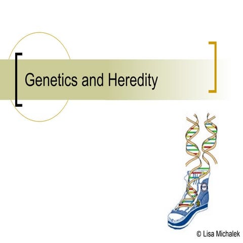 CLASS 10 SCIENCE CHAPTER 9- HEREDITY AND EVOLUTION | PPTX
