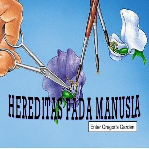 Hereditas pada manusia | PPT