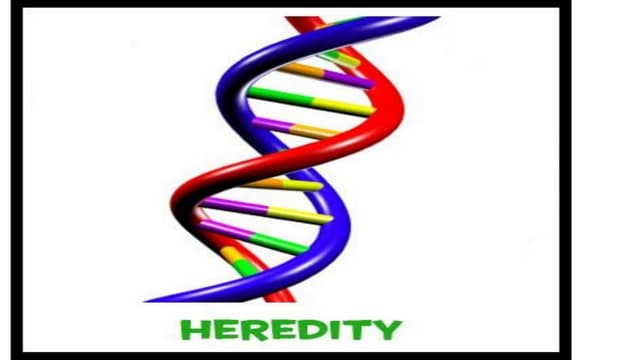 Heridity and Evolution - Biology Class 10 CBSE | PPSX