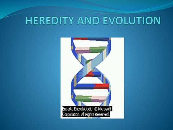 CLASS 10 SCIENCE CHAPTER 9- HEREDITY AND EVOLUTION | PPTX