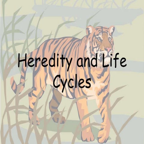 Heredity and Life Cycles.pptx